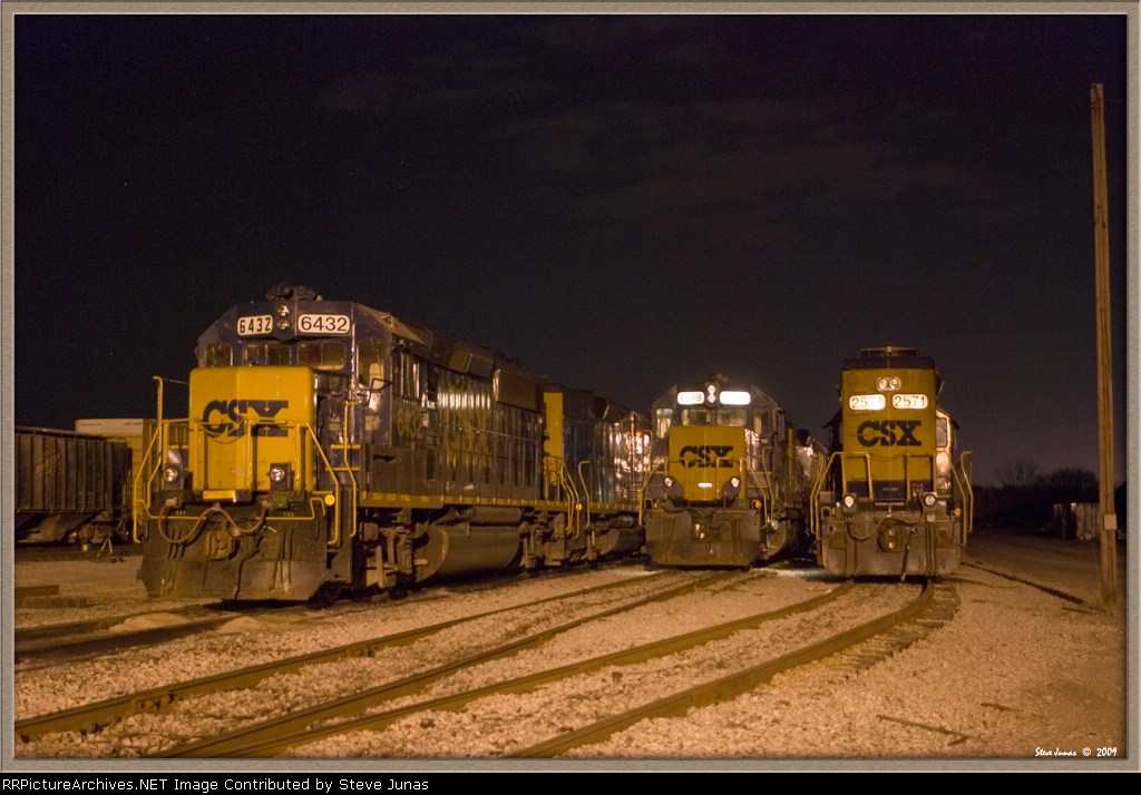 Early spring yard pictures